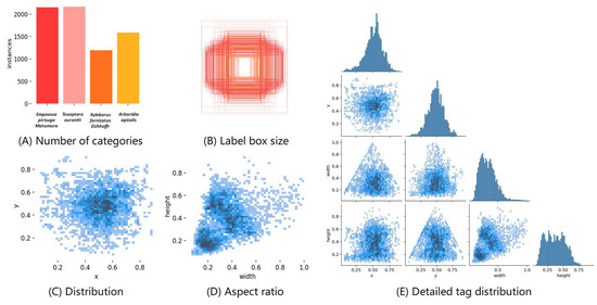 Microscopic Insect Pest Detection in Tea Plantations: Improved YOLOv8 ...