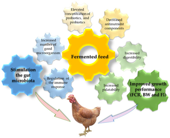 Fermented Feed in Broiler Diets Reduces the Antinutritional Factors ...