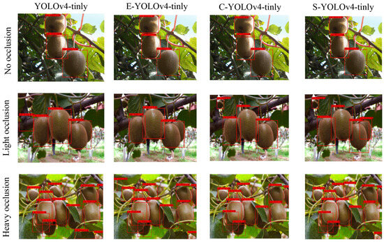 A New Kiwi Fruit Detection Algorithm Based on an Improved Lightweight Network