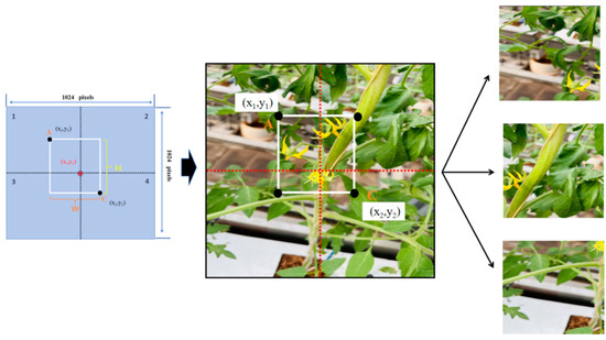 An Extended Method Based on the Geometric Position of Salient Image Features: Solving the ...