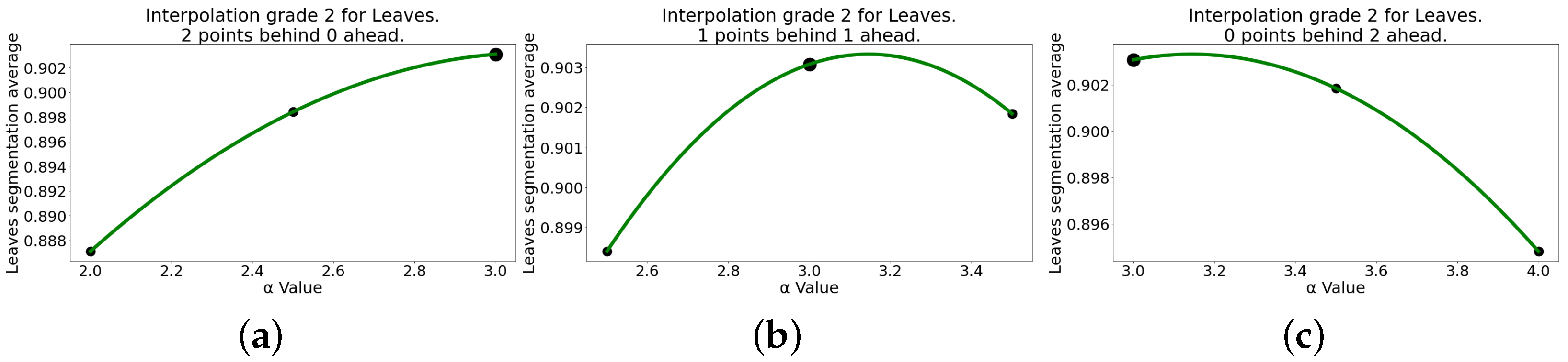 Color Dominance-Based Polynomial Optimization Segmentation for Identifying Tomato Leaves and Fruits
