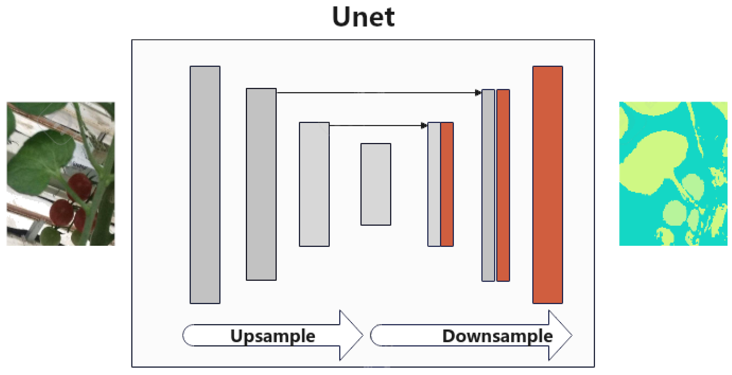Color Dominance-Based Polynomial Optimization Segmentation for Identifying Tomato Leaves and Fruits