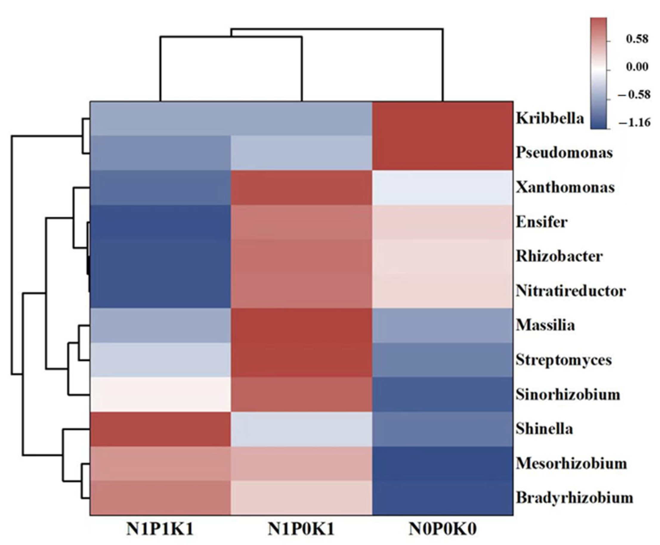 Effect of P Reduction on phoD-Harboring Bacteria Community in Solar ...