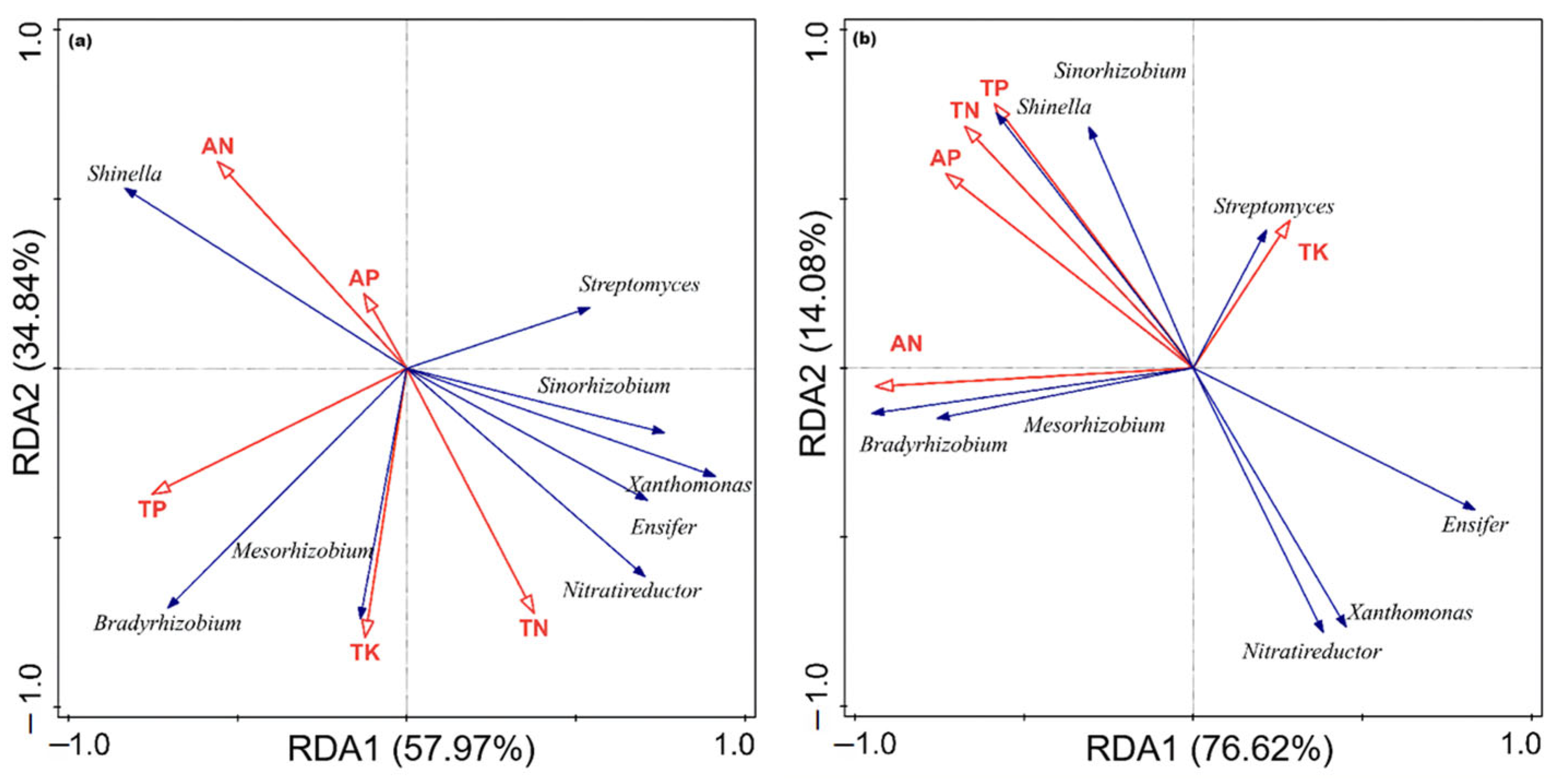 Effect of P Reduction on phoD-Harboring Bacteria Community in Solar ...