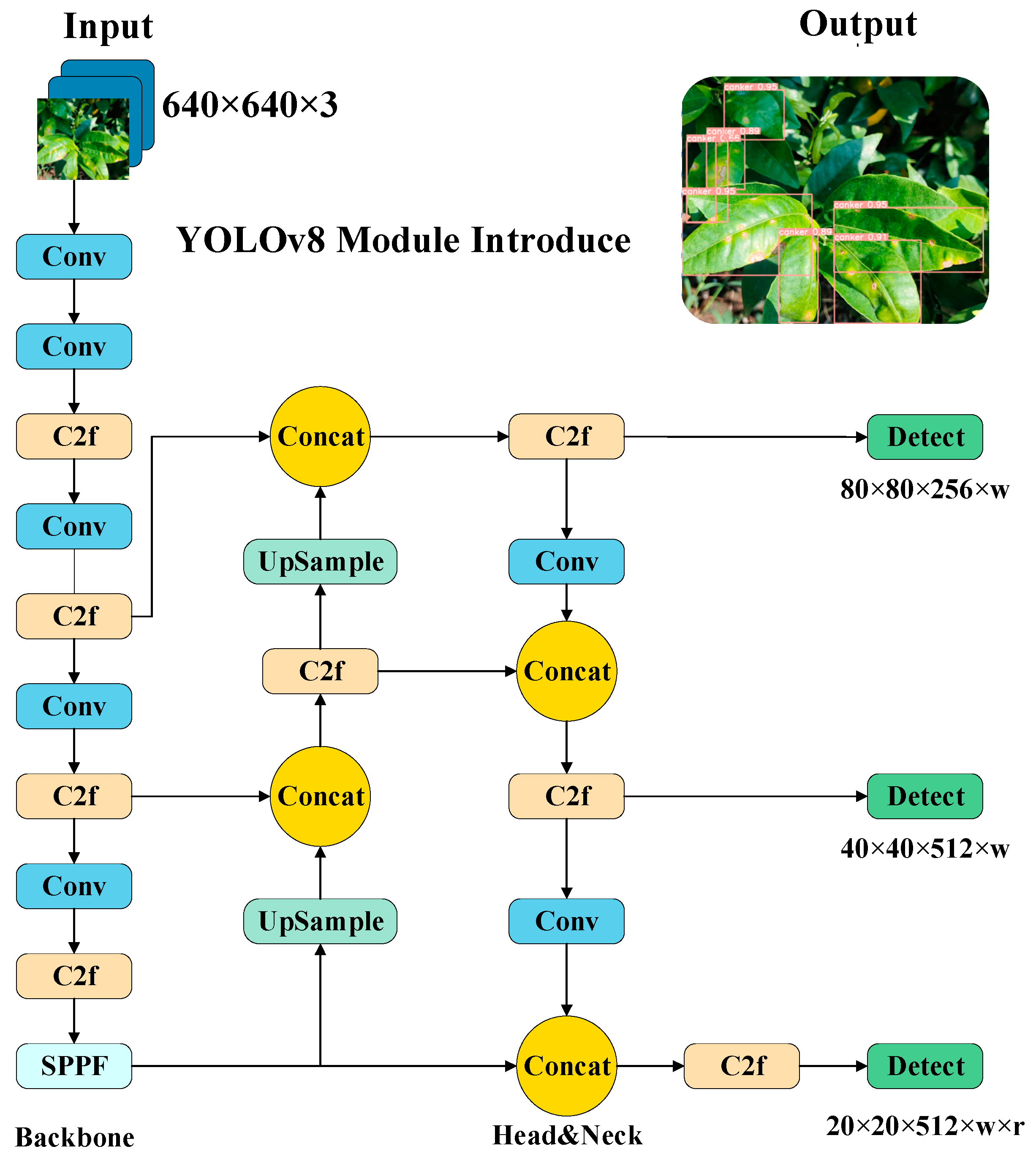 YOLOv8-GABNet: An Enhanced Lightweight Network for the High-Precision ...