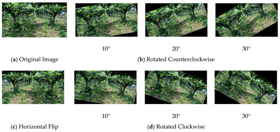 An Improved UNet-Based Path Recognition Method in Low-Light Environments
