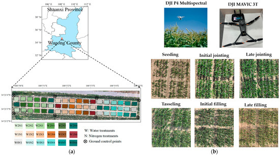 Combining UAV Multispectral and Thermal Infrared Data for Maize Growth Parameter Estimation