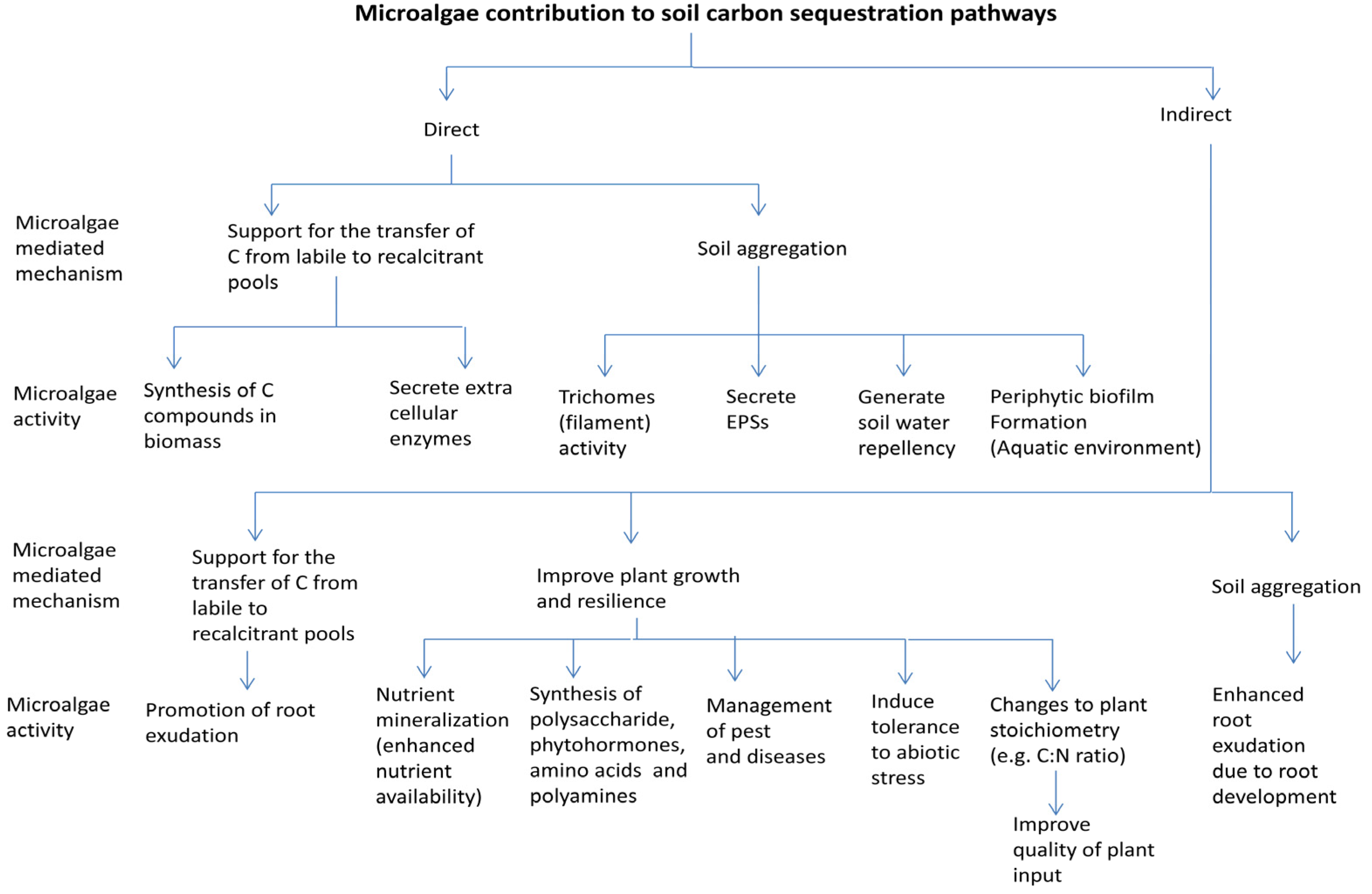 Unveiling the Role of Edaphic Microalgae in Soil Carbon Sequestration: Potential for ...
