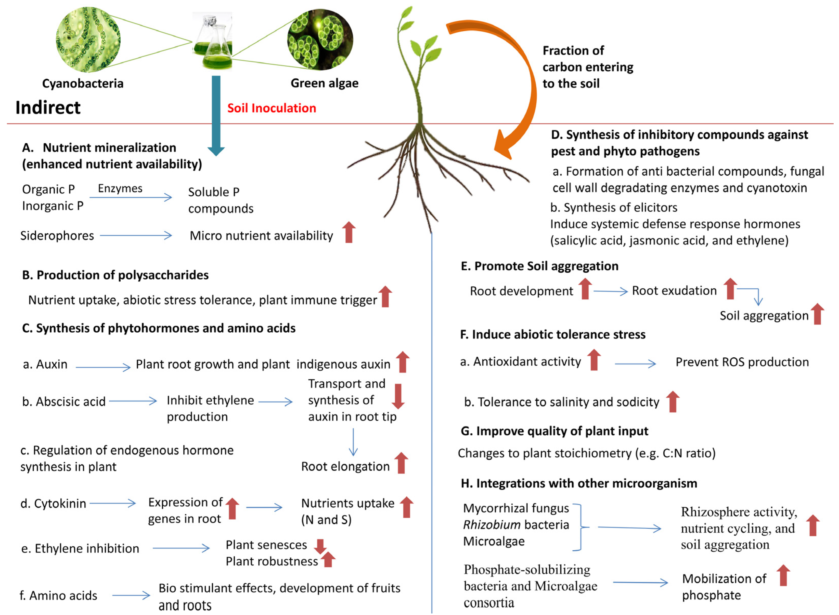 Unveiling the Role of Edaphic Microalgae in Soil Carbon Sequestration: Potential for ...