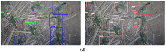 Precision Weed Management for Straw-Mulched Maize Field: Advanced Weed ...