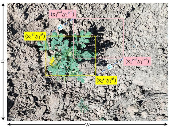 YOLO-IAPs: A Rapid Detection Method for Invasive Alien Plants in the ...