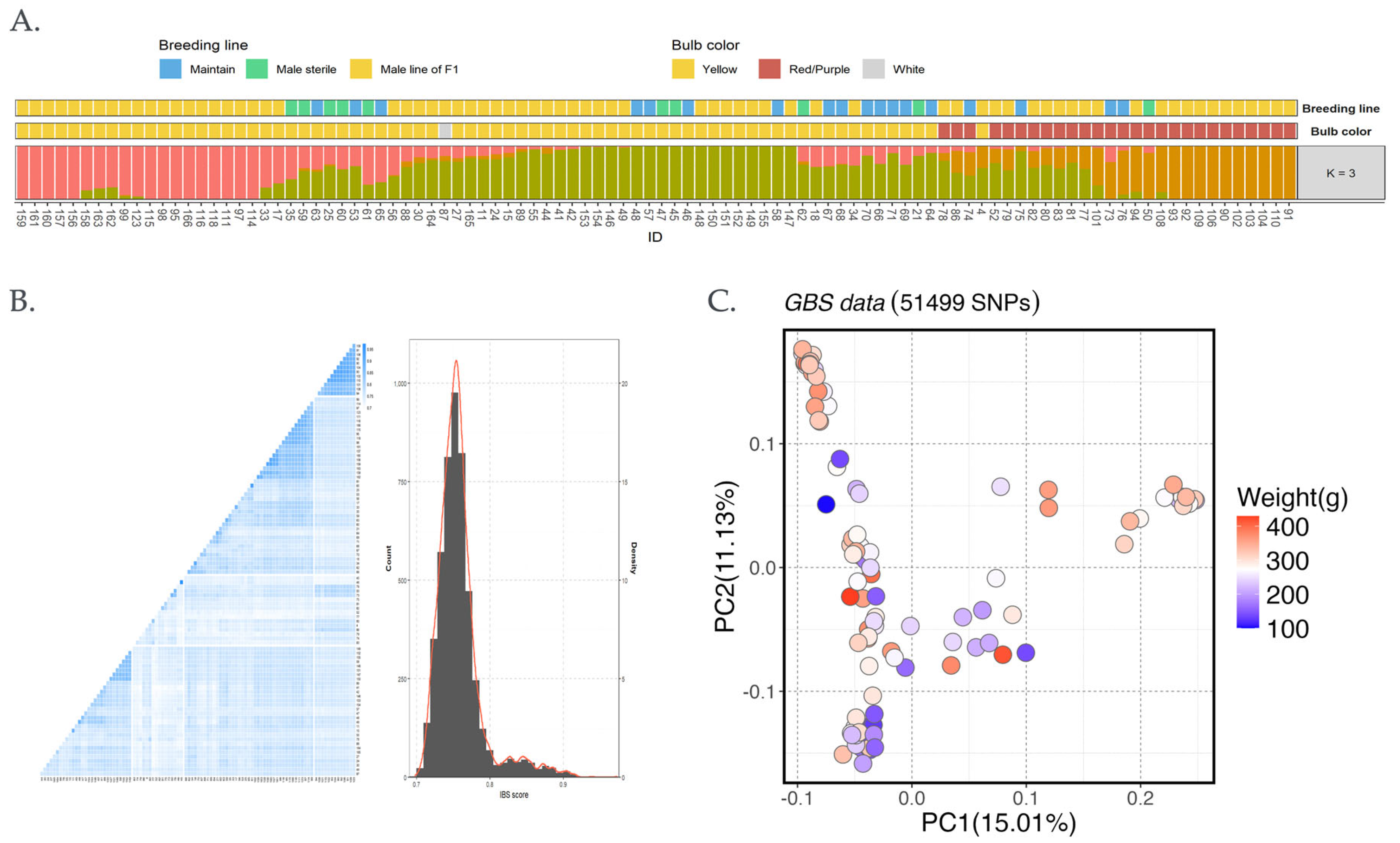 Genotype-Driven Phenotype Prediction in Onion Breeding: Machine ...