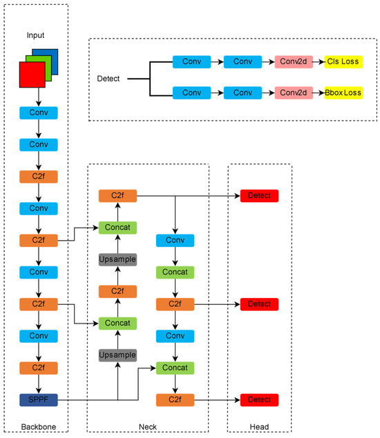 Improved Field Obstacle Detection Algorithm Based on YOLOv8