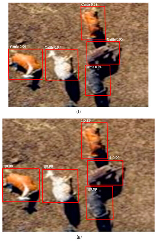 Transfer Learning-Driven Cattle Instance Segmentation Using Deep Learning Models