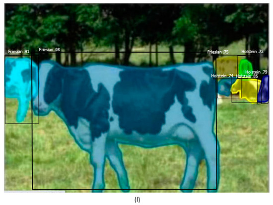 Transfer Learning-Driven Cattle Instance Segmentation Using Deep Learning Models