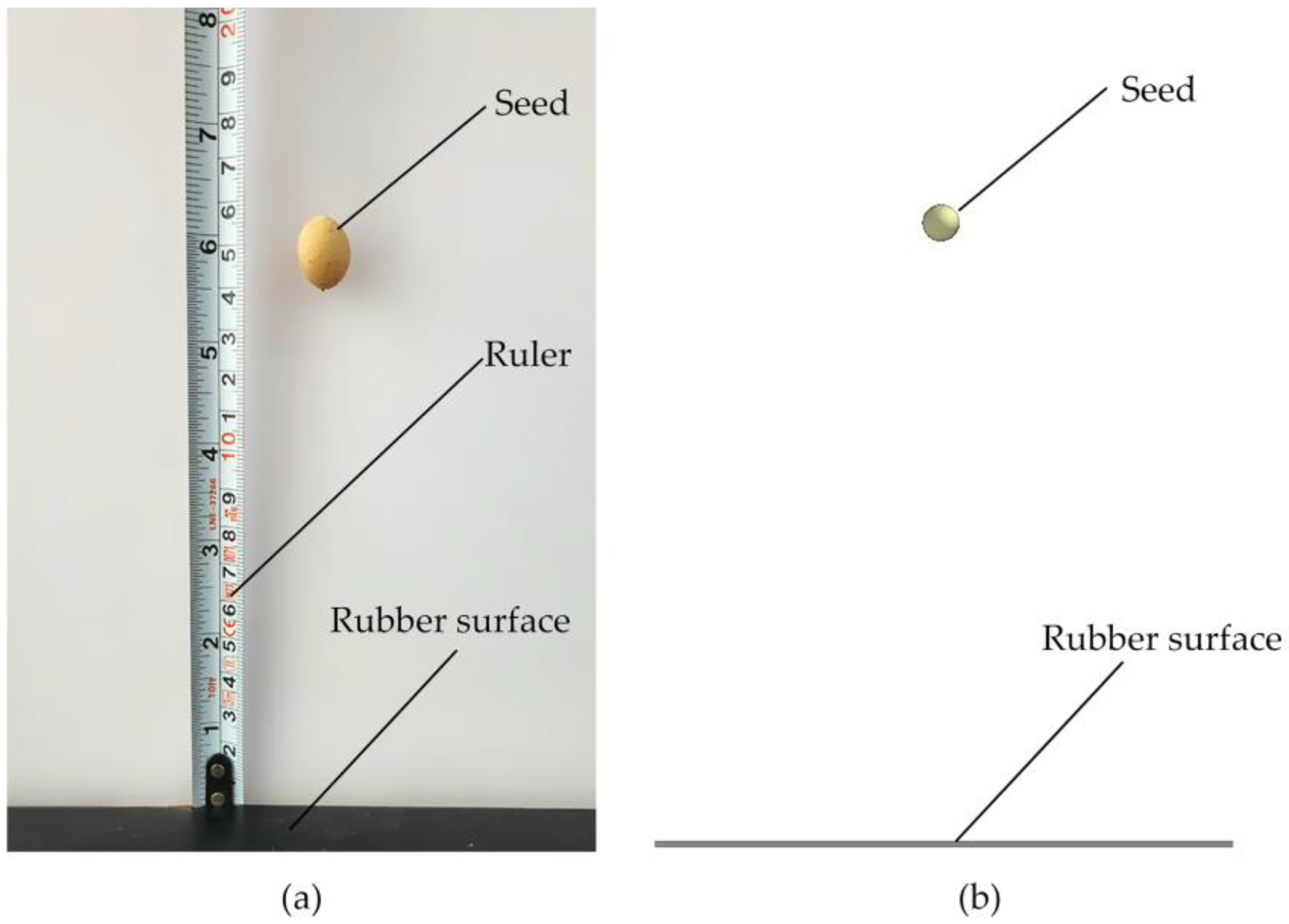 Contact Parameter Calibration for Discrete Element Potato Minituber ...