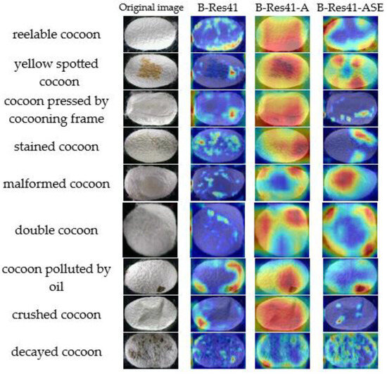 A Classification Model for Fine-Grained Silkworm Cocoon Images Based on ...
