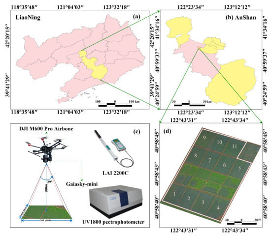 Hyperspectral Remote Sensing Estimation of Rice Canopy LAI and LCC by ...