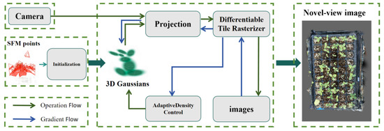 Improved YOLOv8 Model for Phenotype Detection of Horticultural Seedling Growth Based on Digital ...