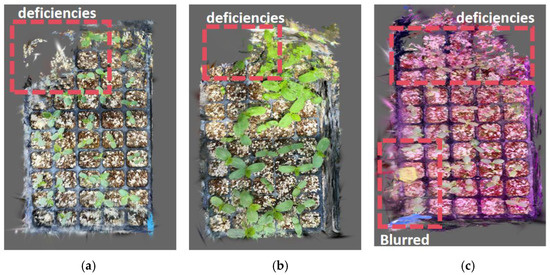 Improved YOLOv8 Model for Phenotype Detection of Horticultural Seedling Growth Based on Digital ...
