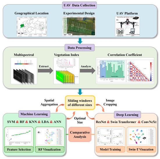 UAV-Multispectral Based Maize Lodging Stress Assessment with Machine and Deep Learning Methods