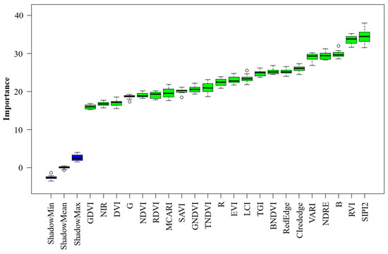 UAV-Multispectral Based Maize Lodging Stress Assessment with Machine and Deep Learning Methods