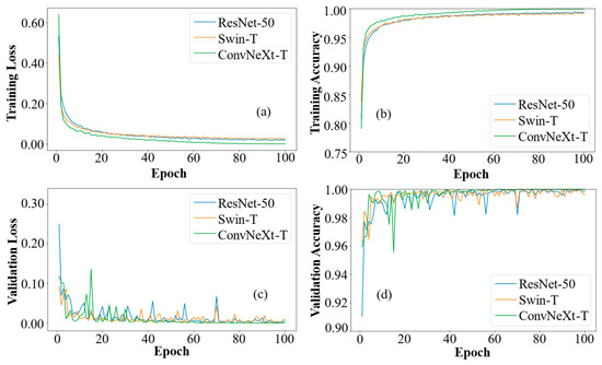UAV-Multispectral Based Maize Lodging Stress Assessment with Machine and Deep Learning Methods