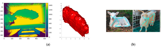 Livestock Biometrics Identification Using Computer Vision Approaches: A ...