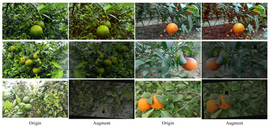 Picking-Point Localization Algorithm for Citrus Fruits Based on Improved YOLOv8 Model