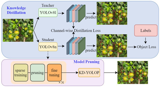 Picking-Point Localization Algorithm for Citrus Fruits Based on Improved YOLOv8 Model
