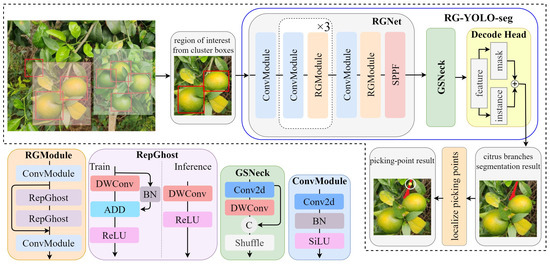Picking Point Localization Algorithm For Citrus Fruits Based On Improved Yolov8 Model