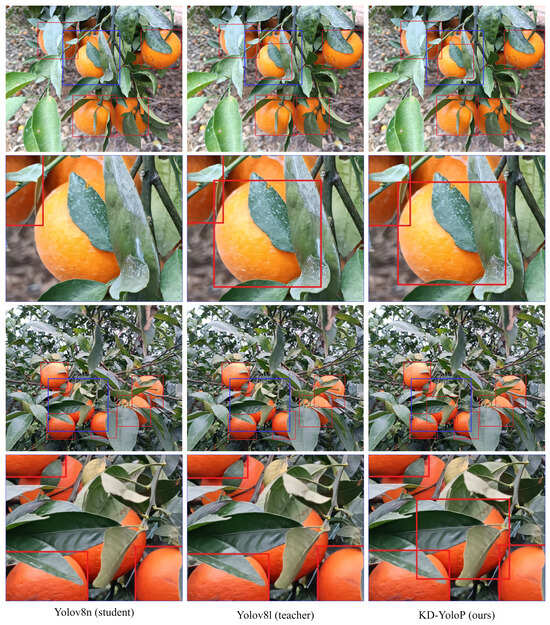 Picking Point Localization Algorithm For Citrus Fruits Based On Improved Yolov8 Model