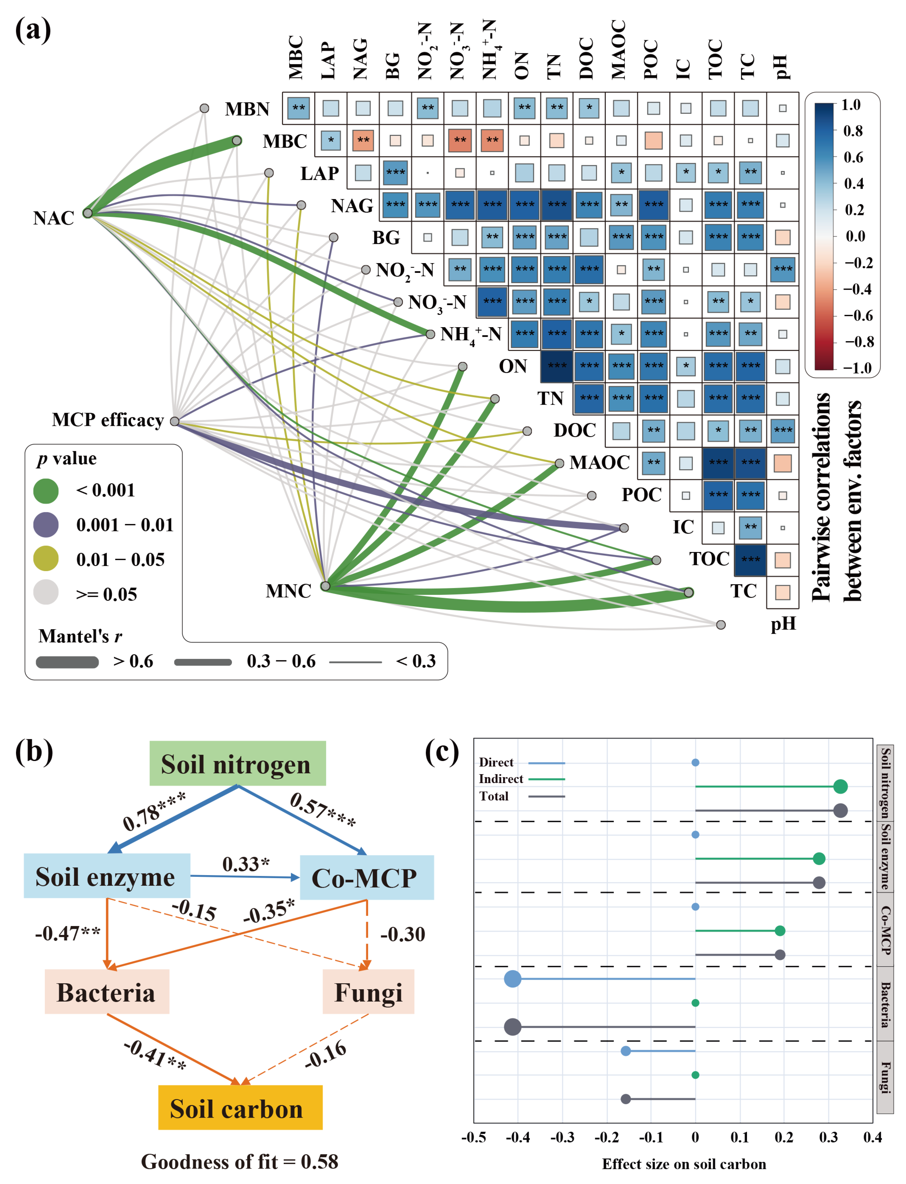 Soil Enzyme Activities and Microbial Carbon Pump Promote Carbon Storage ...