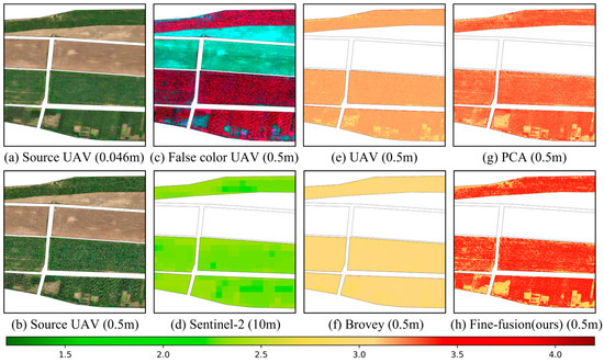 Interpretable LAI Fine Inversion of Maize by Fusing Satellite, UAV Multispectral, and Thermal ...