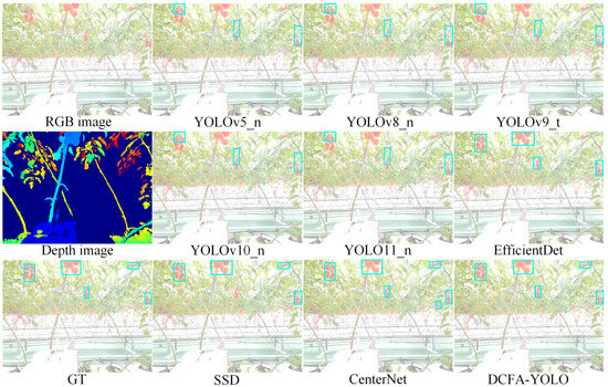 DCFA-YOLO: A Dual-Channel Cross-Feature-Fusion Attention YOLO Network for Cherry Tomato Bunch ...