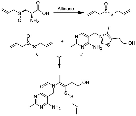 Identifying the Garlic and Grain Mixture with the Highest Allithiamine ...