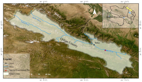 Comparing Stacking Ensemble Learning and 1D-CNN Models for Predicting Leaf Chlorophyll Content ...