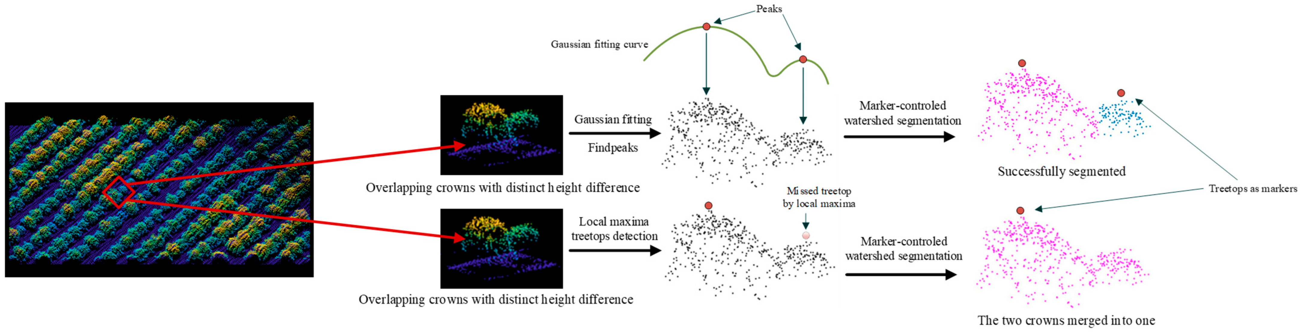 Canopy Segmentation of Overlapping Fruit Trees Based on Unmanned Aerial ...