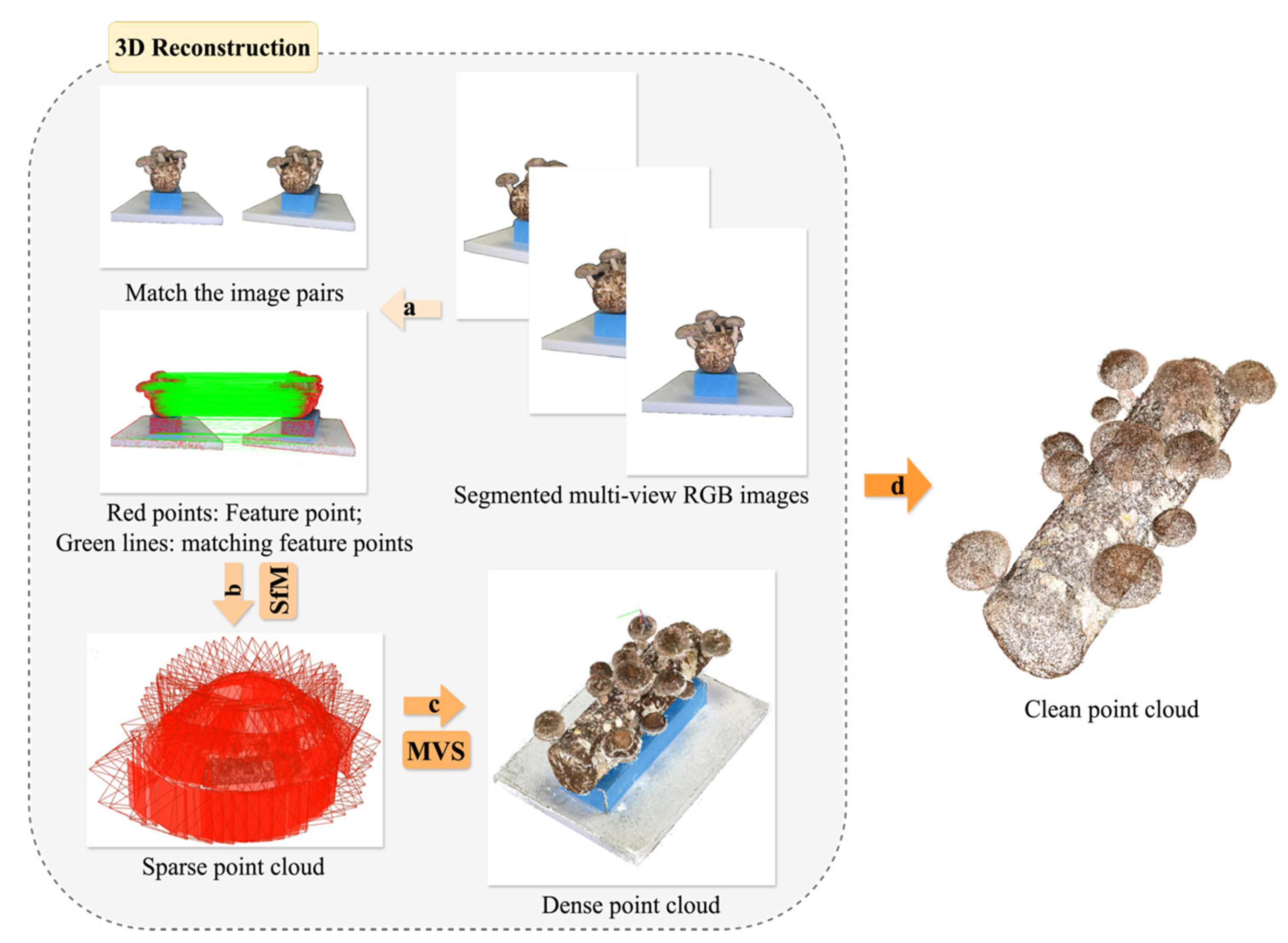 Three-Dimensional Reconstruction, Phenotypic Traits Extraction, and Yield Estimation of Shiitake ...