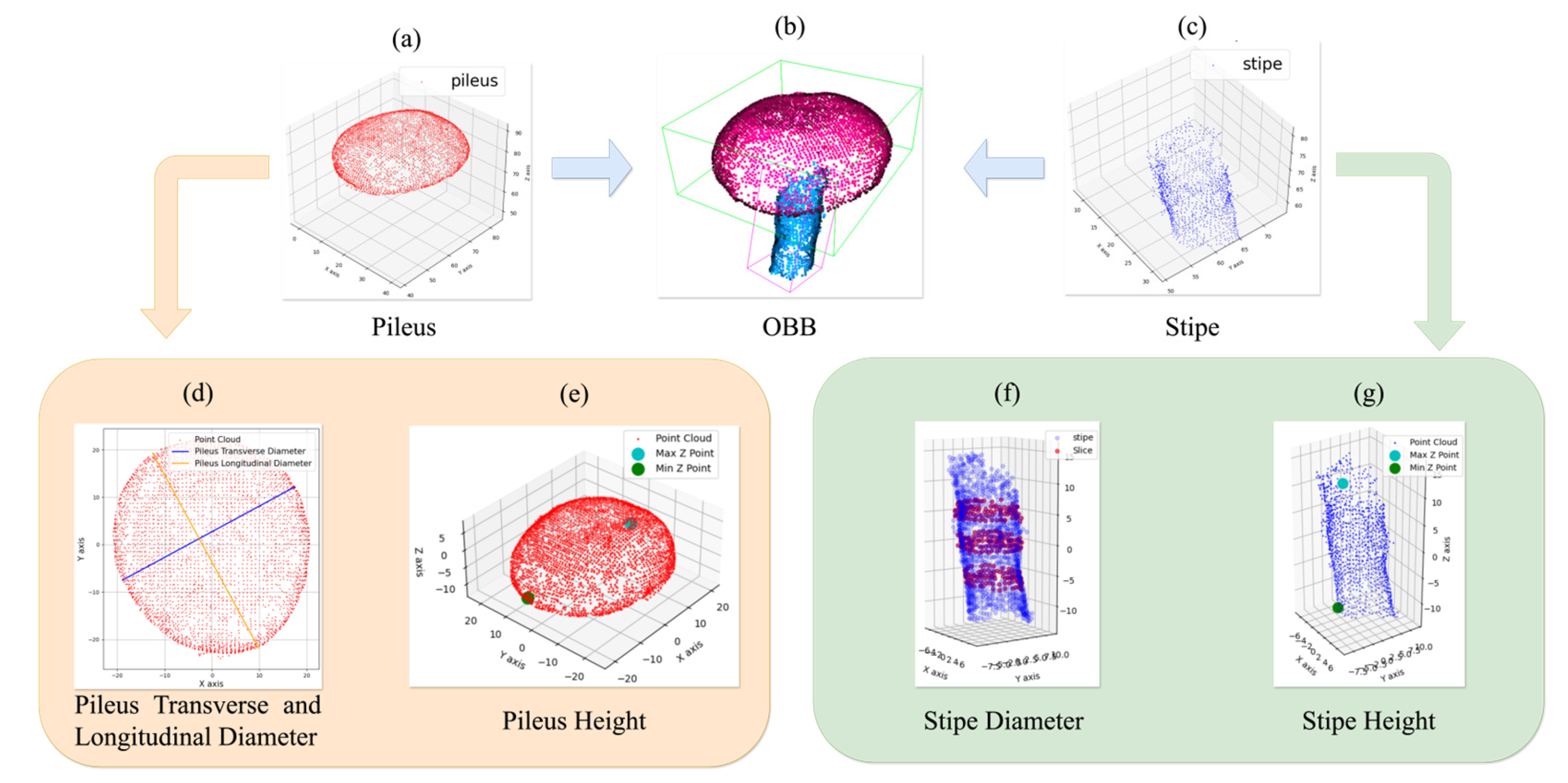 Three-Dimensional Reconstruction, Phenotypic Traits Extraction, and ...