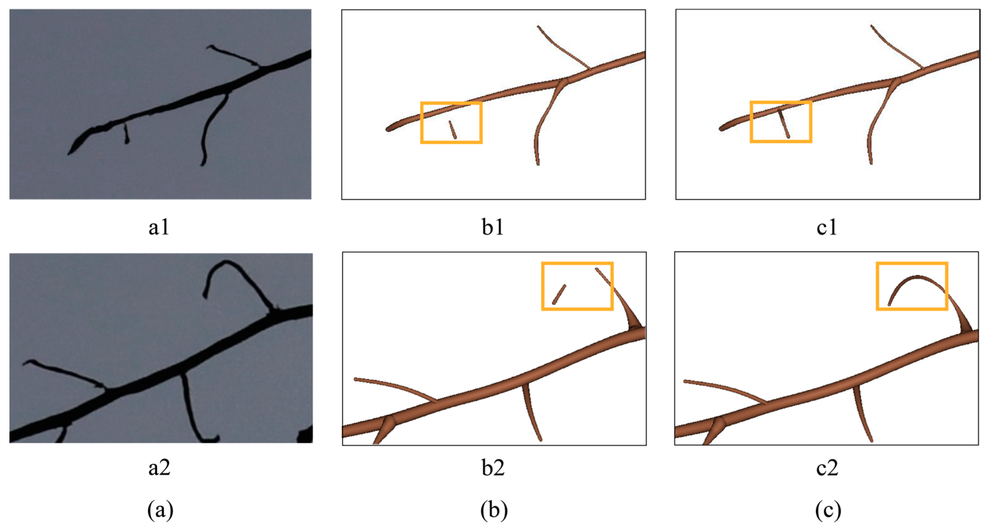 A Skeleton-Based Method of Root System 3D Reconstruction and Phenotypic ...