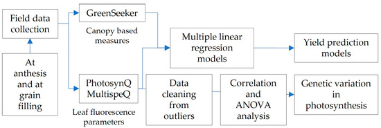 In-Field Phenotyping Using the Low-Cost and Open Access Fluorescence ...
