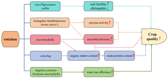 Research on the Effect of Diversified Cropping on Crop Quality: A Review