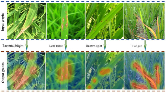RDRM-YOLO: A High-Accuracy and Lightweight Rice Disease Detection Model ...