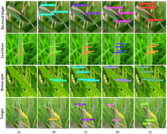 RDRM-YOLO: A High-Accuracy and Lightweight Rice Disease Detection Model ...