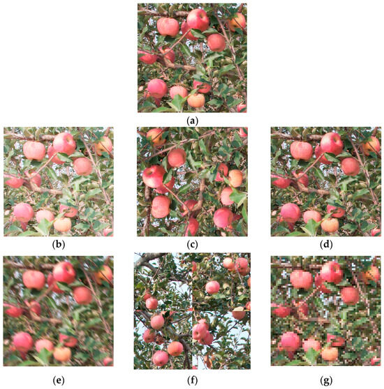 Research on Apple Detection and Tracking Count in Complex Scenes Based on the Improved YOLOv7 ...