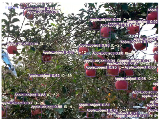 Research on Apple Detection and Tracking Count in Complex Scenes Based on the Improved YOLOv7 ...