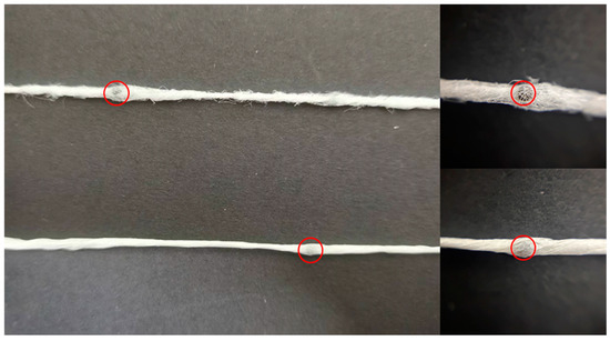 Analysis of Phenotypic and Tensile Mechanical Properties of Seed Rope ...