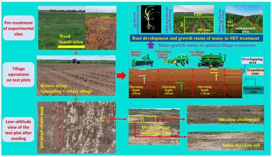 Effects of Tillage Practices on Soil Properties and Maize Yield in Different Types of Soda ...