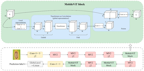 Dual-Attention-Enhanced MobileViT Network: A Lightweight Model for Rice Disease Identification ...